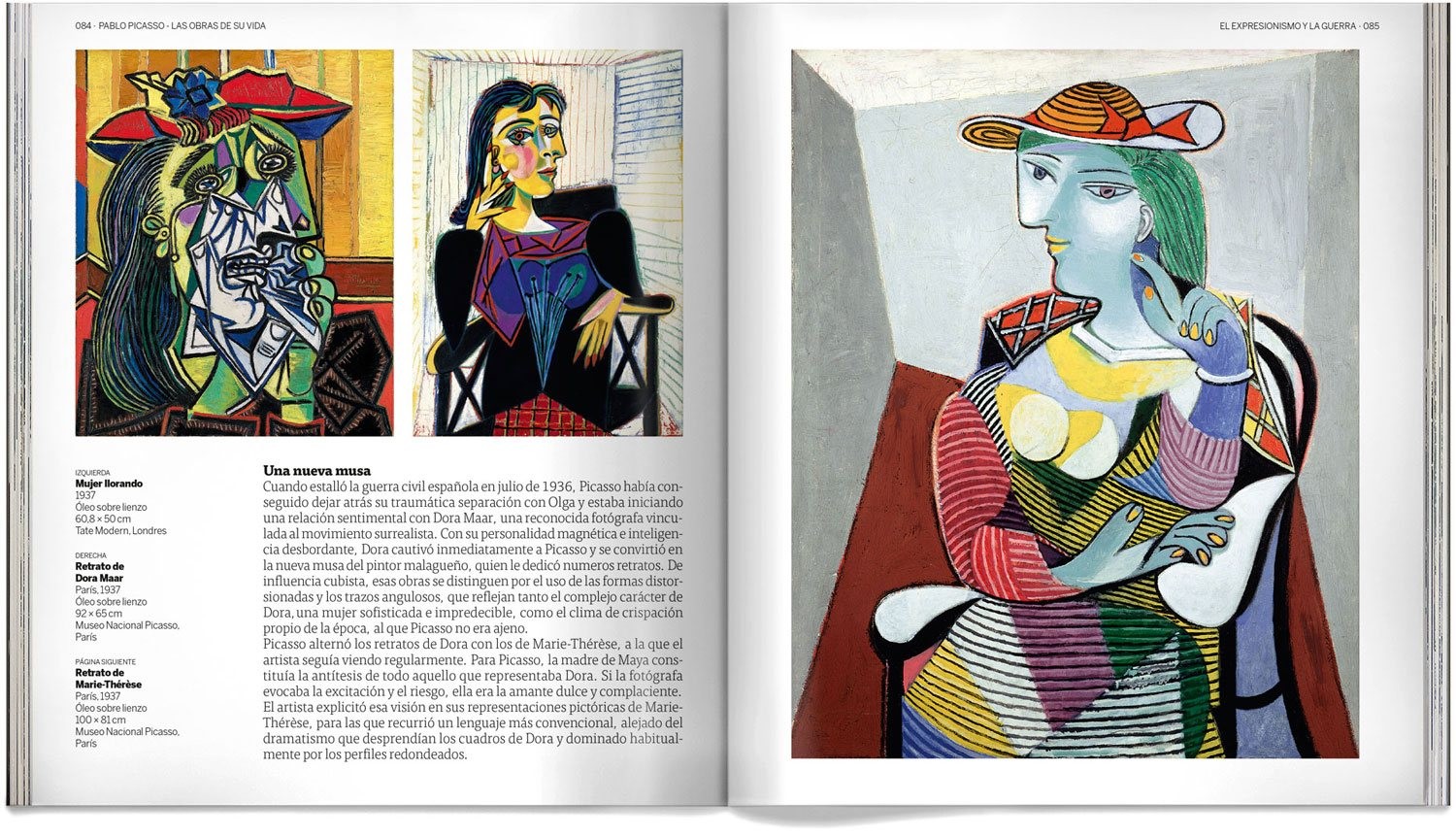 Libro Picasso, obras de su vida