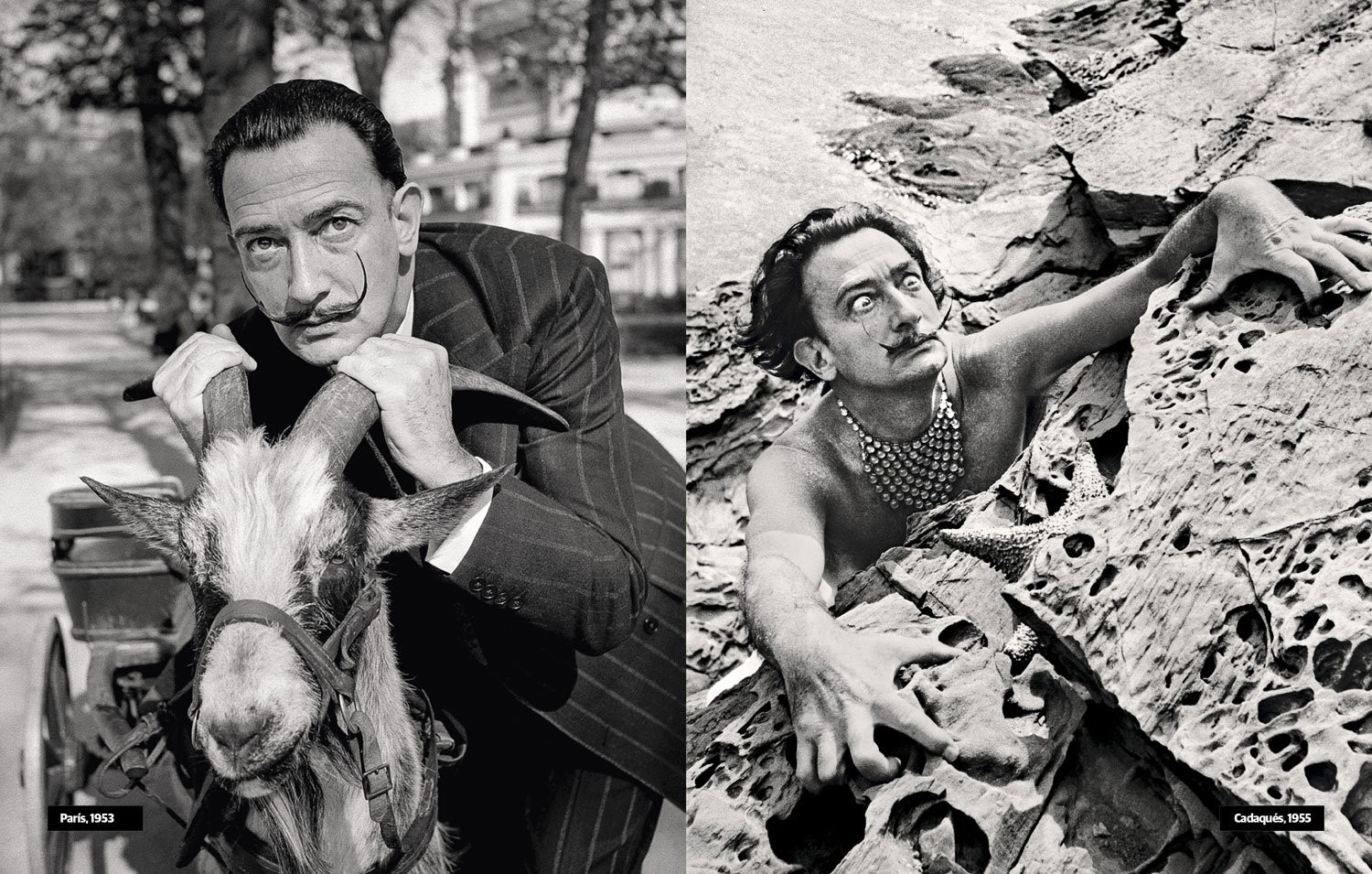 Biography of Dalí, everything about the life of a genius