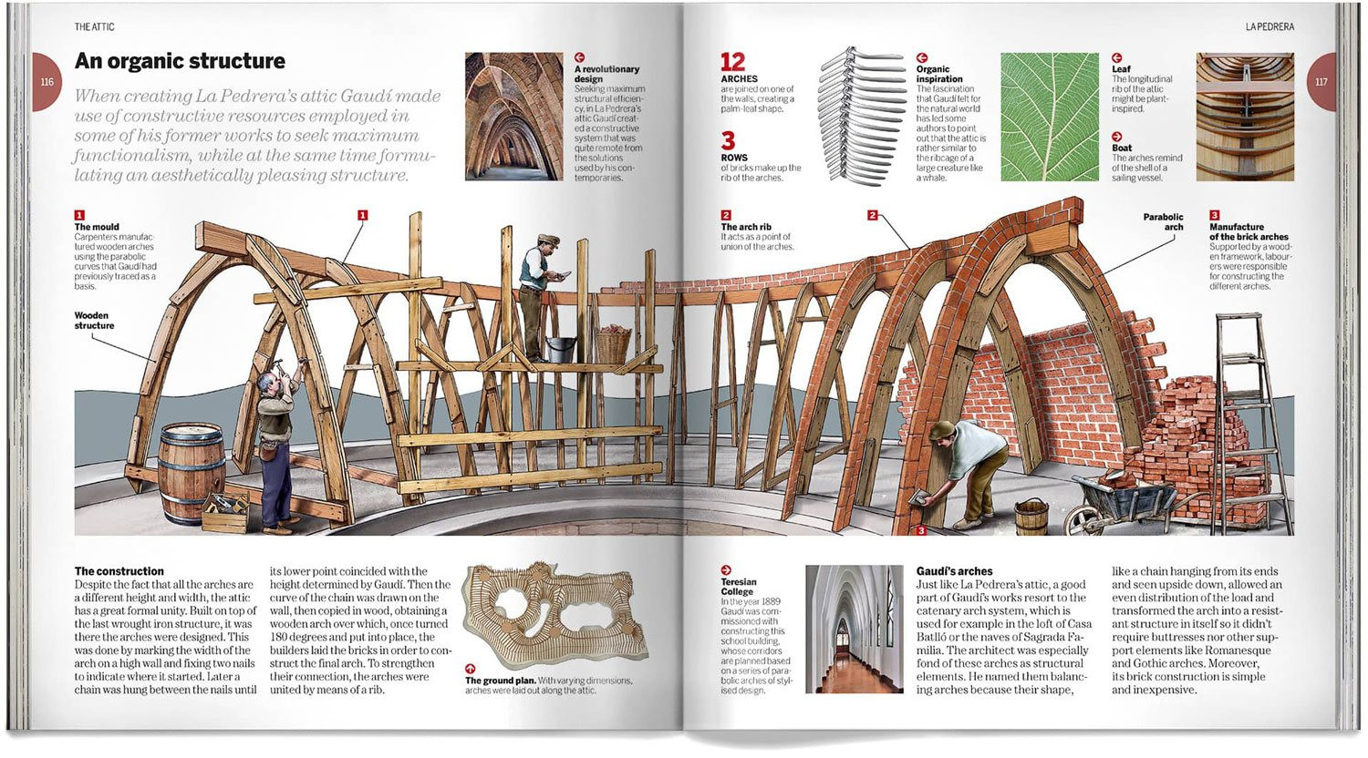 casa mila plan section elevation