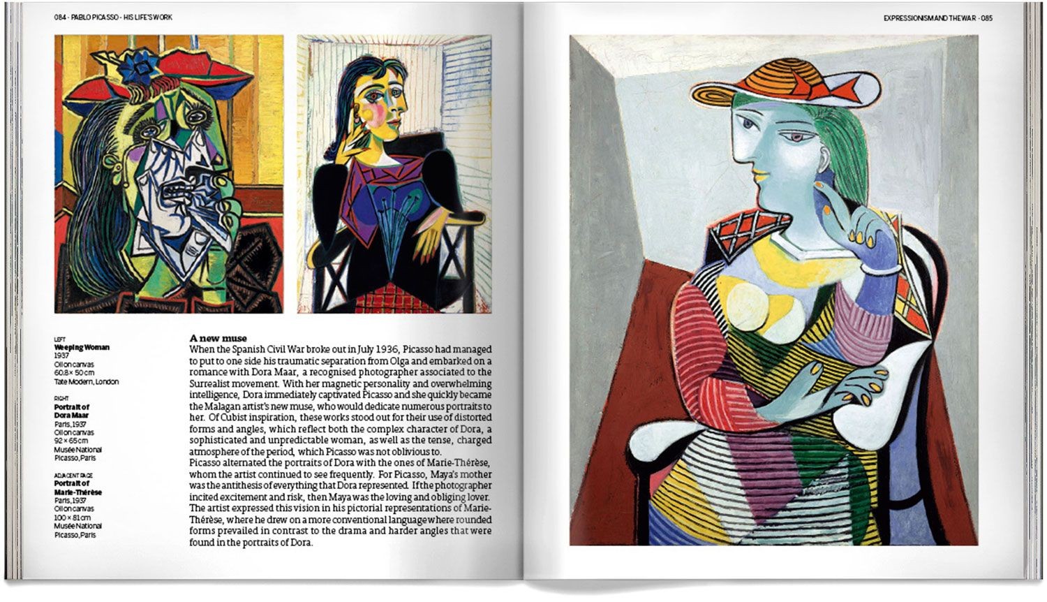 Book on Picasso, his life's work