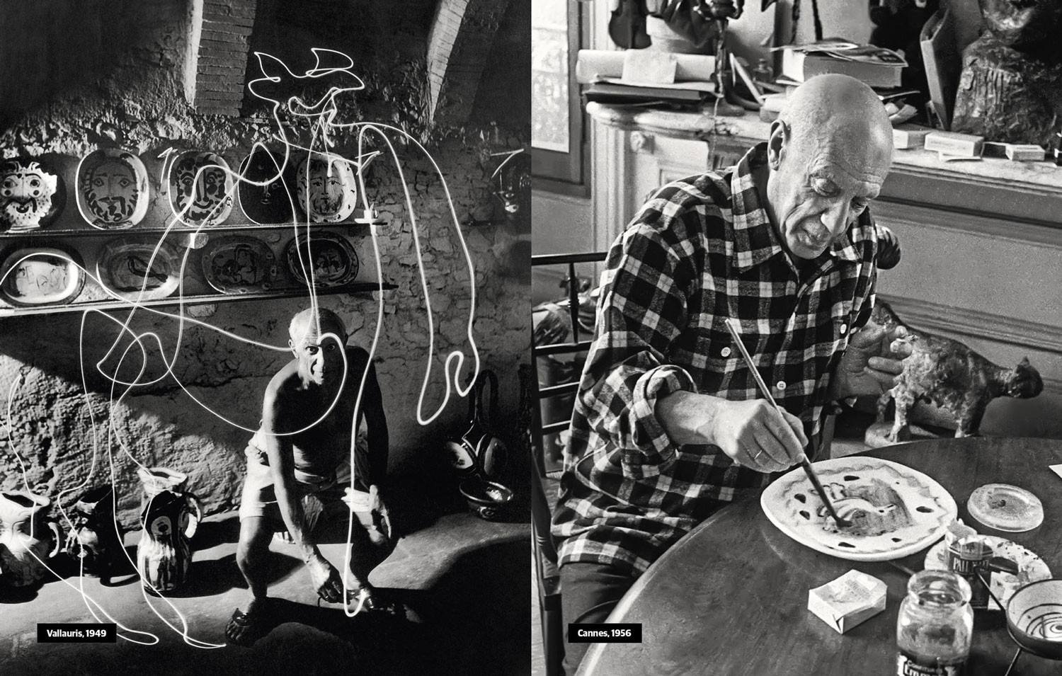 The Illustrated Biography of Pablo Picasso book