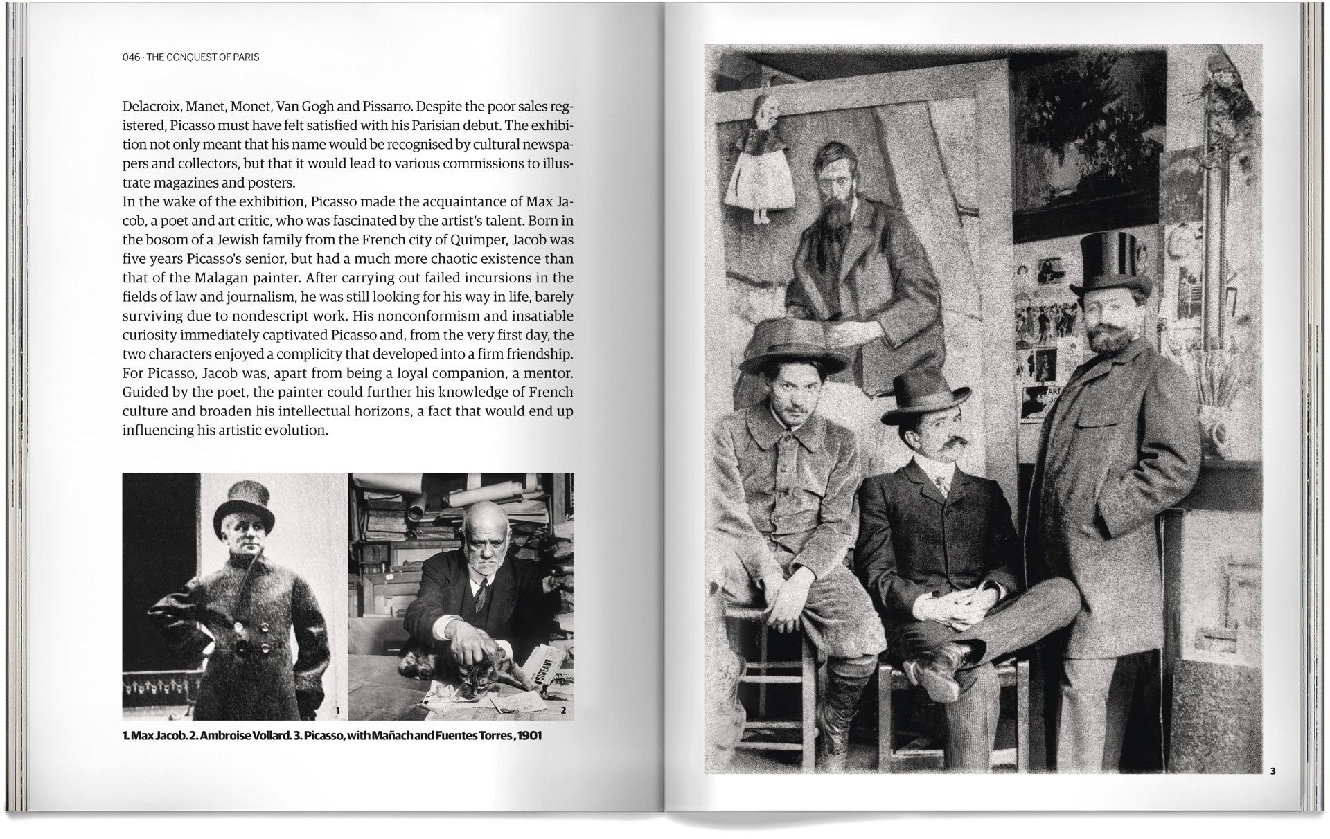 The Illustrated Biography of Pablo Picasso book