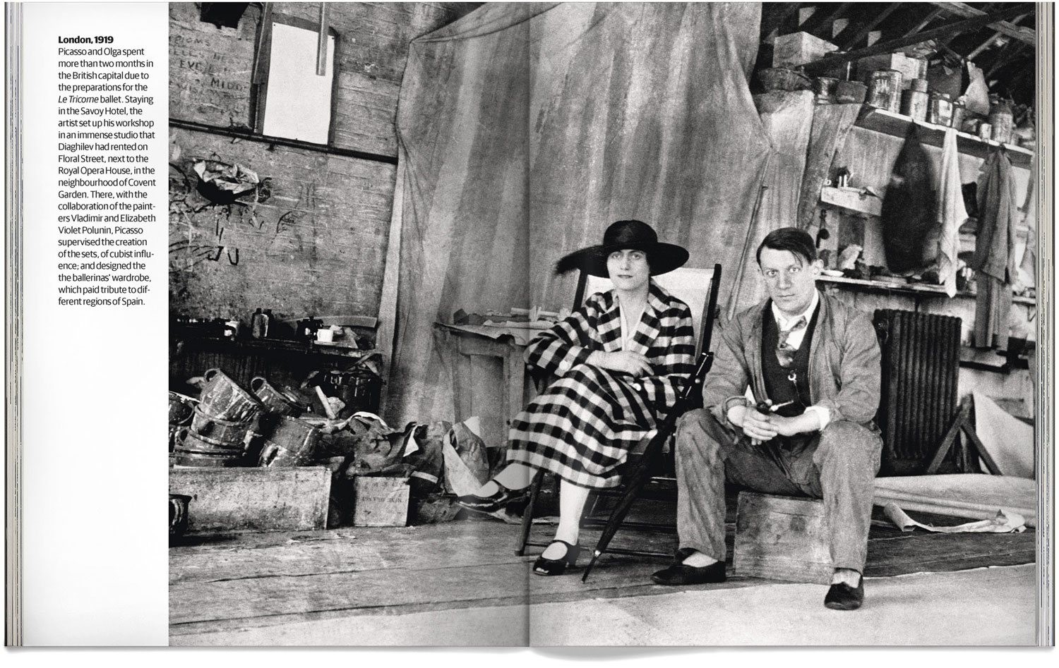 The Illustrated Biography of Pablo Picasso book