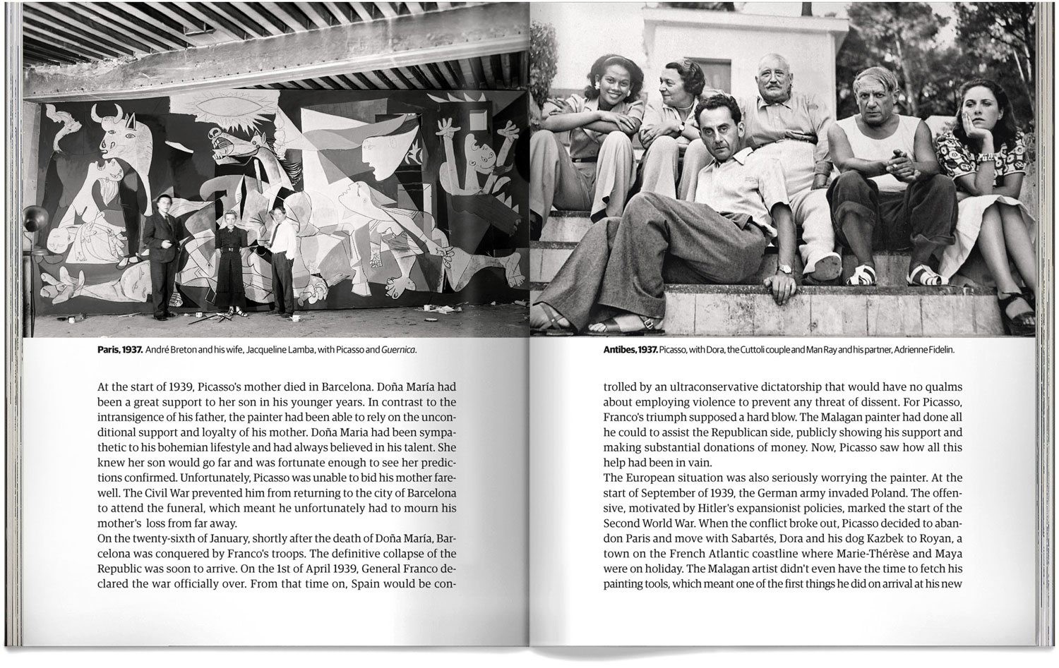 The Illustrated Biography of Pablo Picasso book