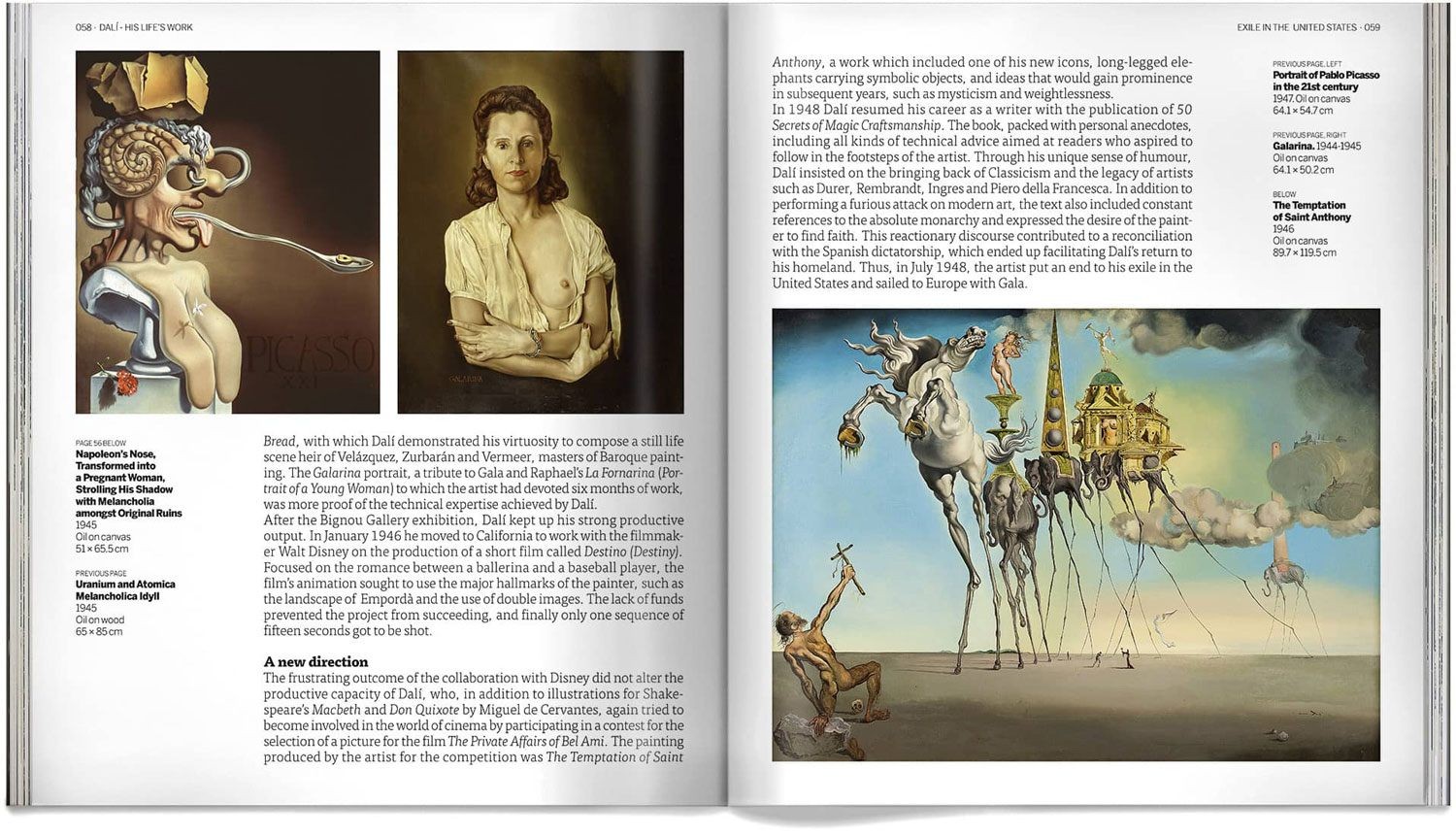Book on Salvador Dalí, his life's work
